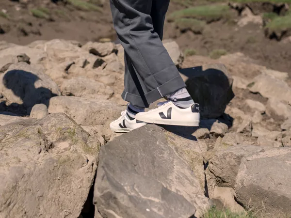 Veja trainers & sneakers