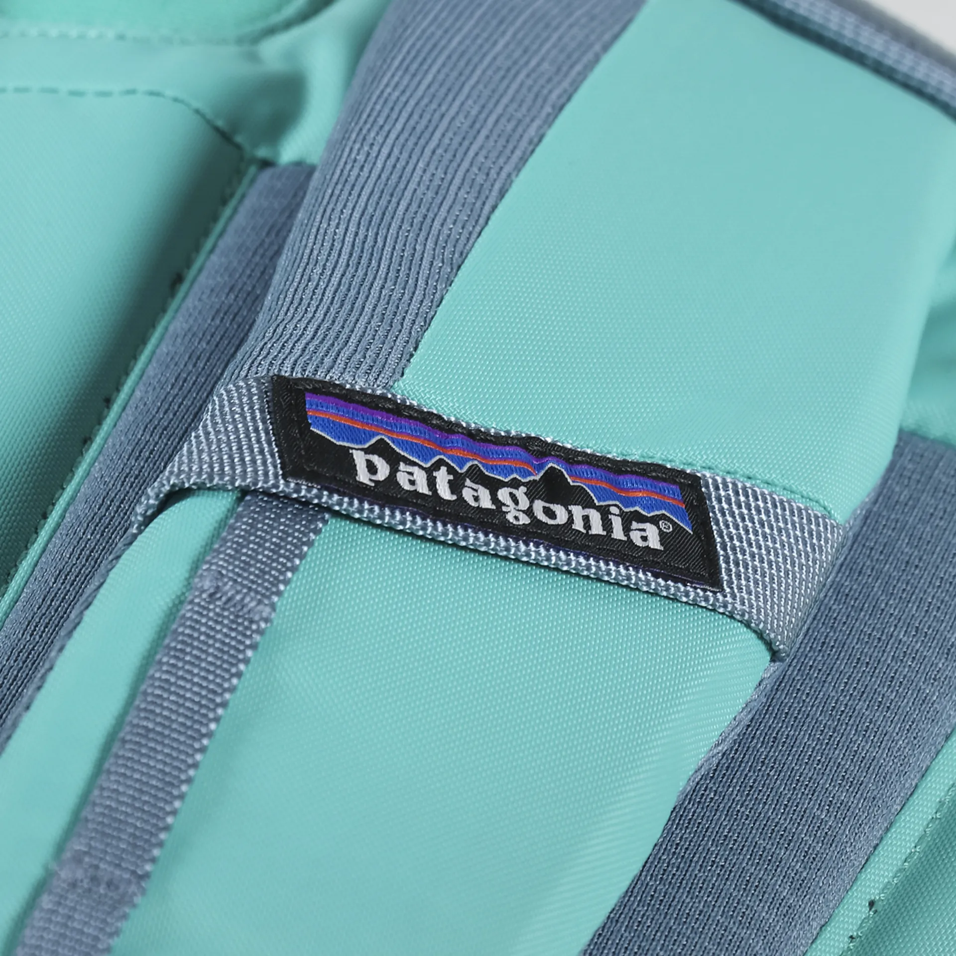Patagonia Atom Tote Pack 20L Fresh Teal Green Rucksack