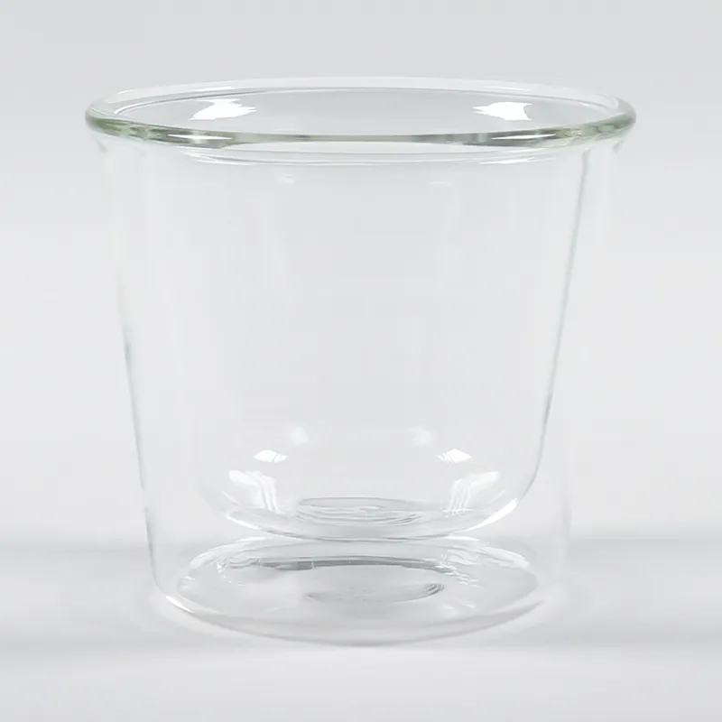 Kinto Japanese CAST Double Wall Rock Glass 250ml Clear