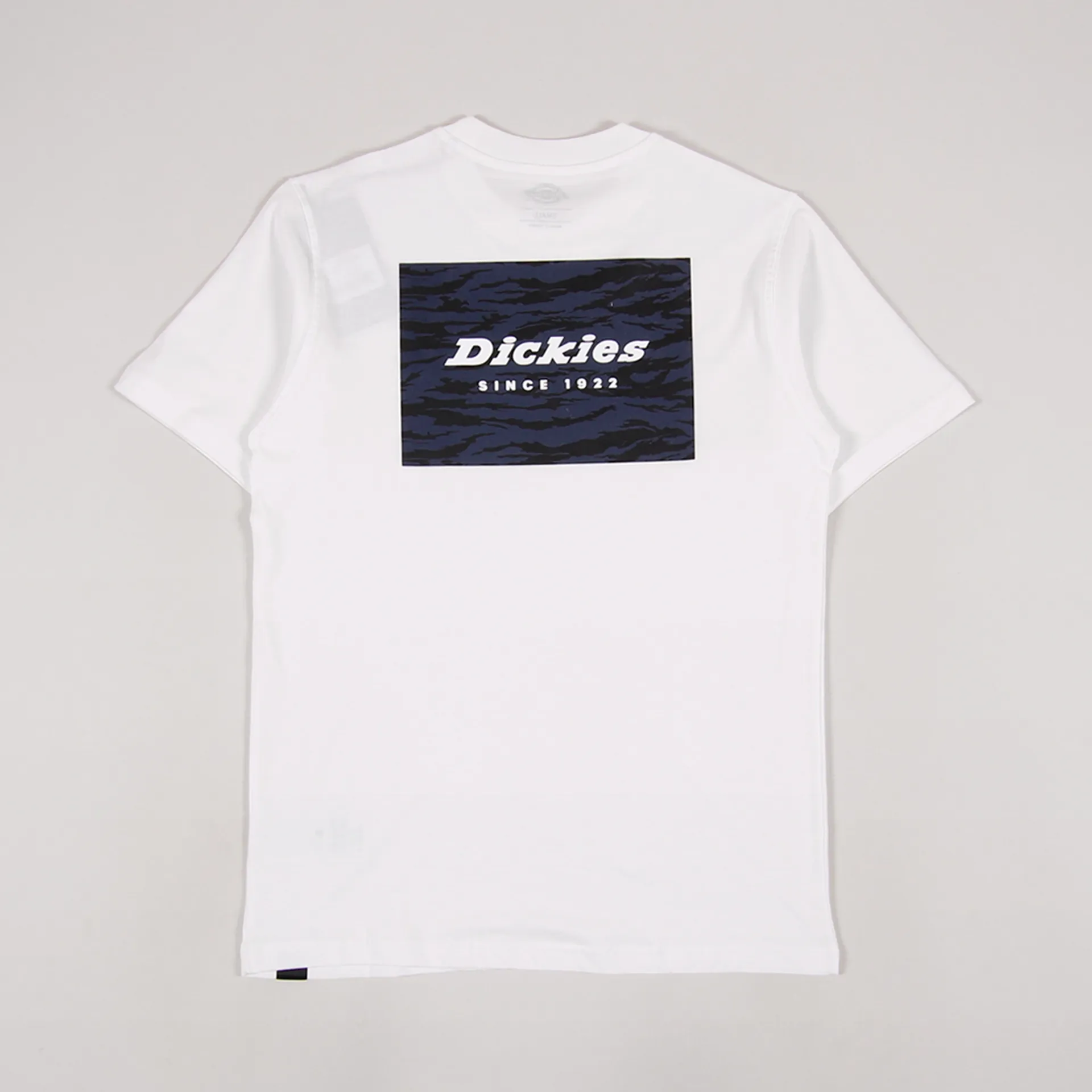 Dickies Life Mens Short Sleeve Quamba Box T Shirt White