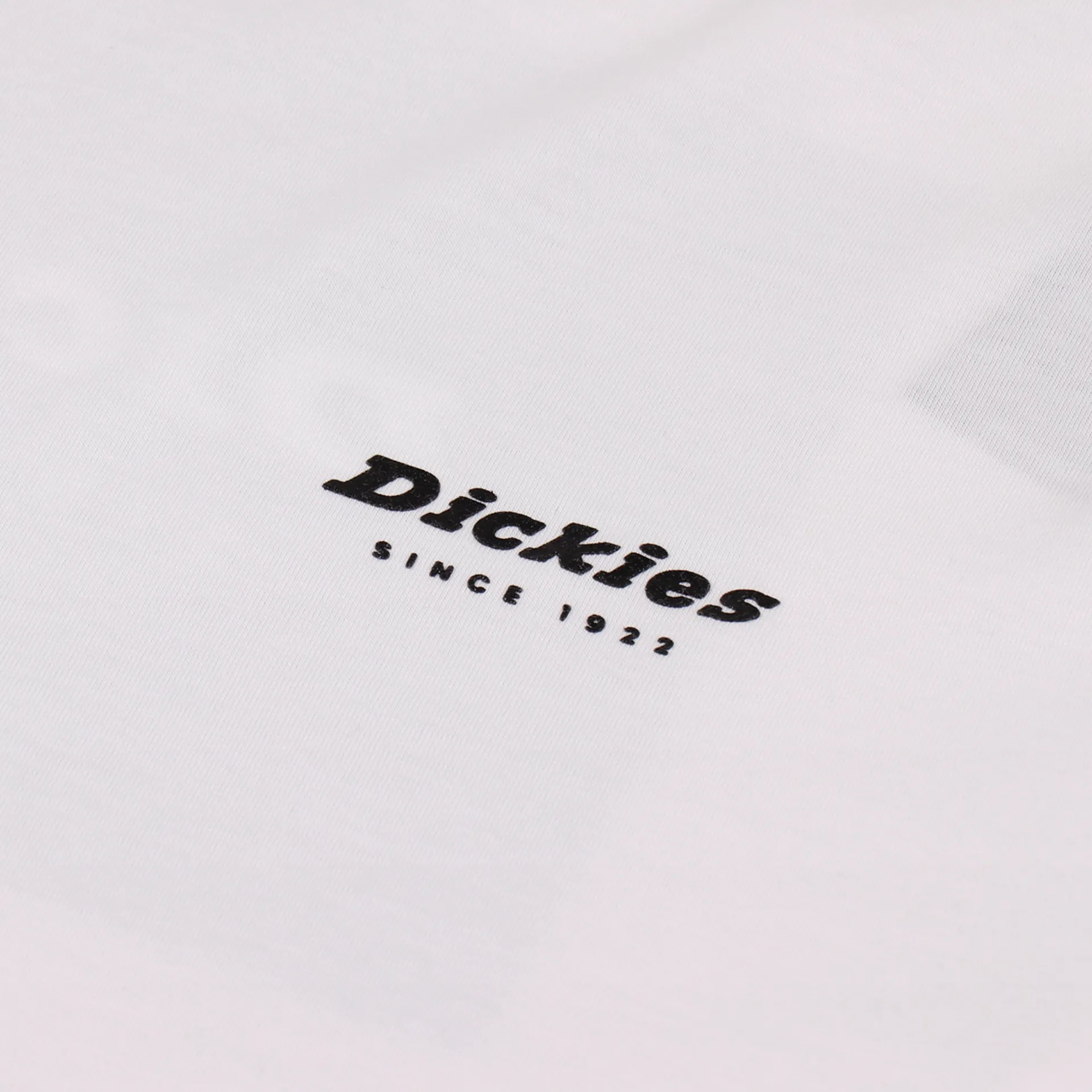 Dickies Life Mens Short Sleeve Quamba Box T Shirt White