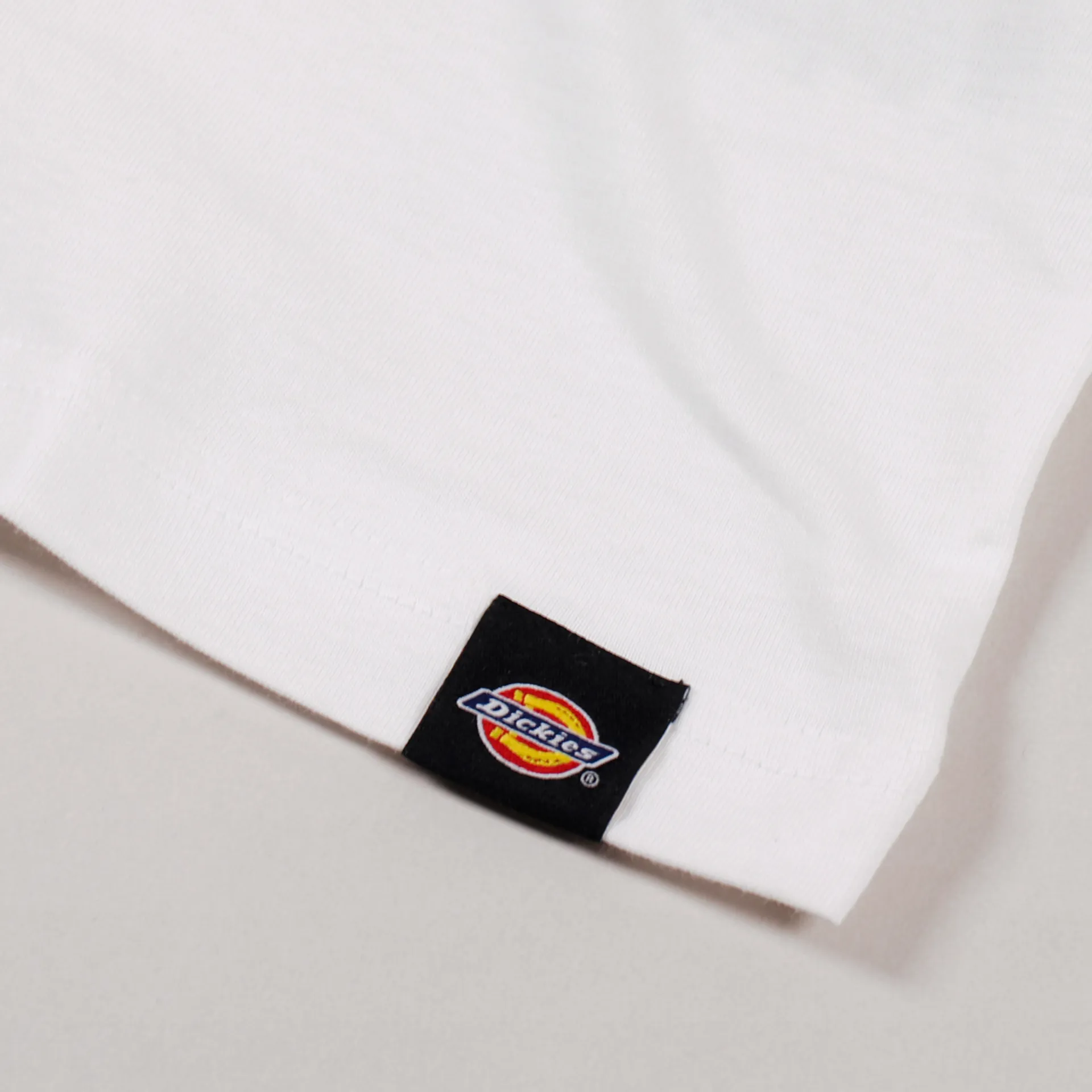 Dickies Life Mens Short Sleeve Quamba Box T Shirt White