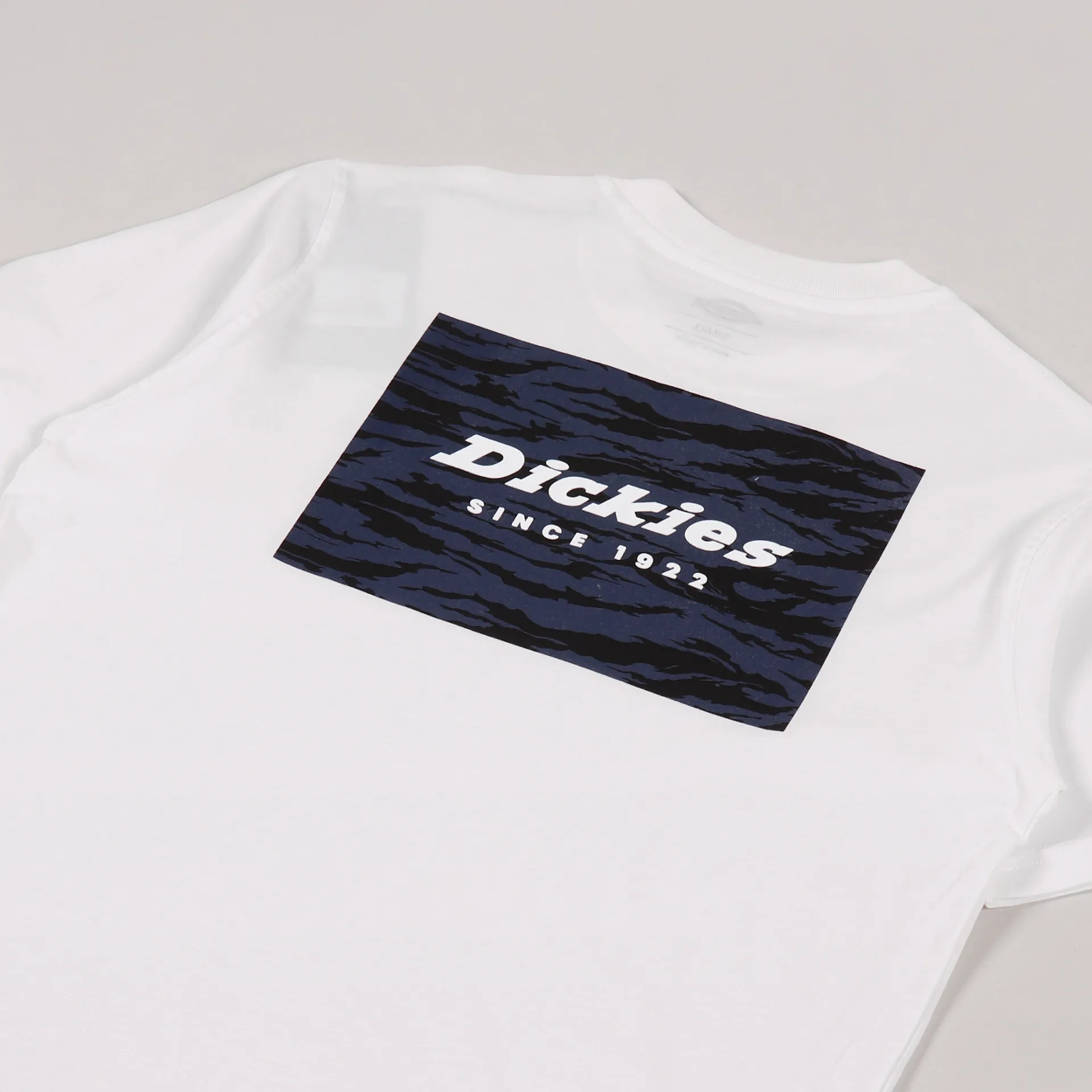Dickies Life Mens Short Sleeve Quamba Box T Shirt White
