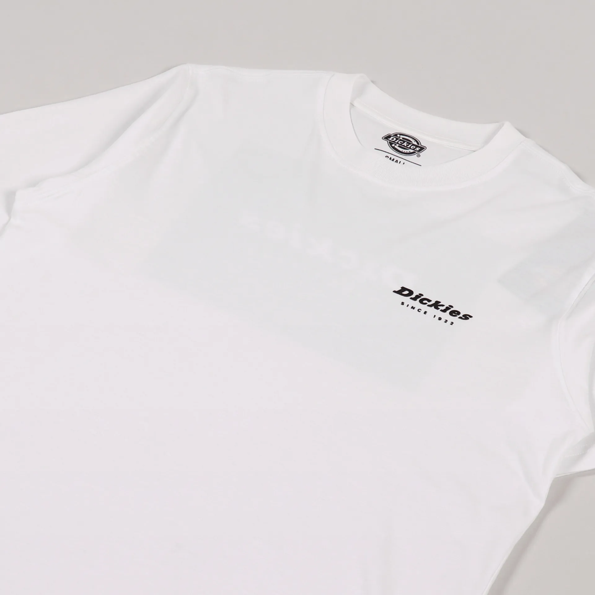 Dickies Life Mens Short Sleeve Quamba Box T Shirt White